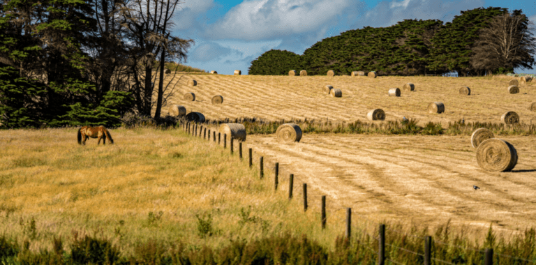 Hess Land & Livestock - Hay for Sale in Oregon - Alfalfa - Grain - More